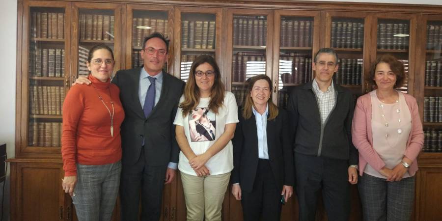 Junta directiva - ICAVA
